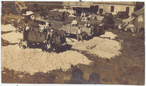 Historical Images of Uhland | Uhland TX